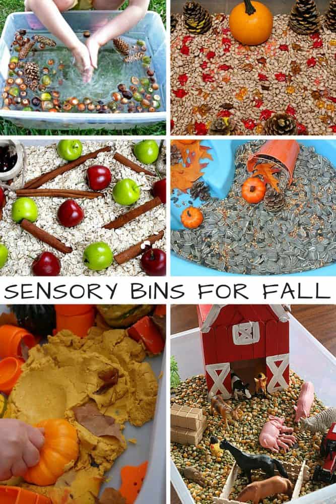 10 Sensory Bins For Fall - Mom Spark